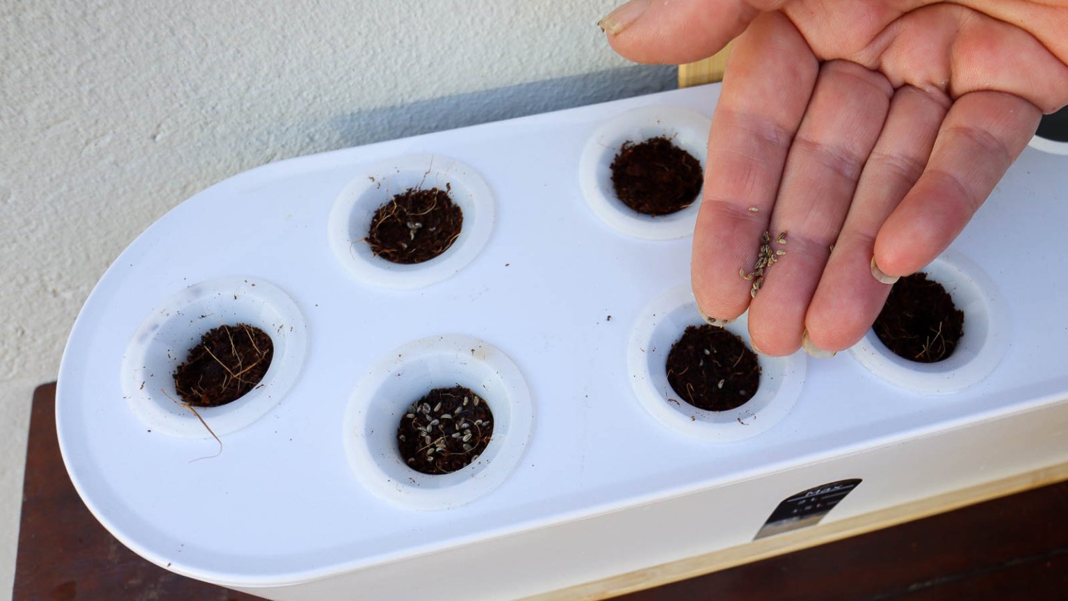 A Beginner's Guide to Starting Seeds for Hydroponics - Epic Gardening