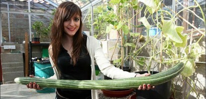 These 11 Pictures of Giant Veggies Will Blow Your Mind - Epic Gardening