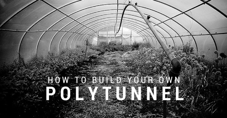 How To Build Your Own Polytunnel - Epic Gardening