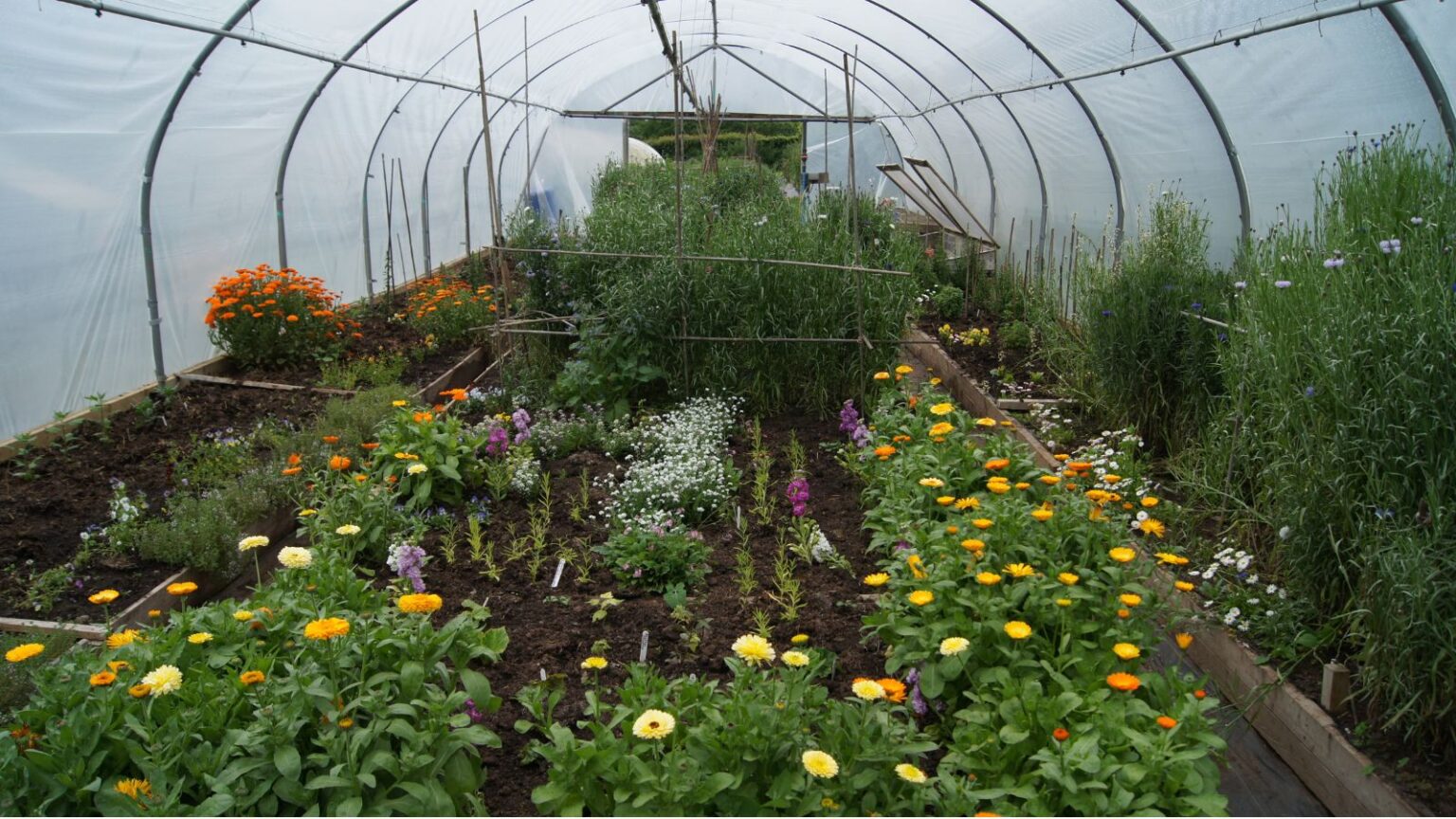 How To Build Your Own Polytunnel