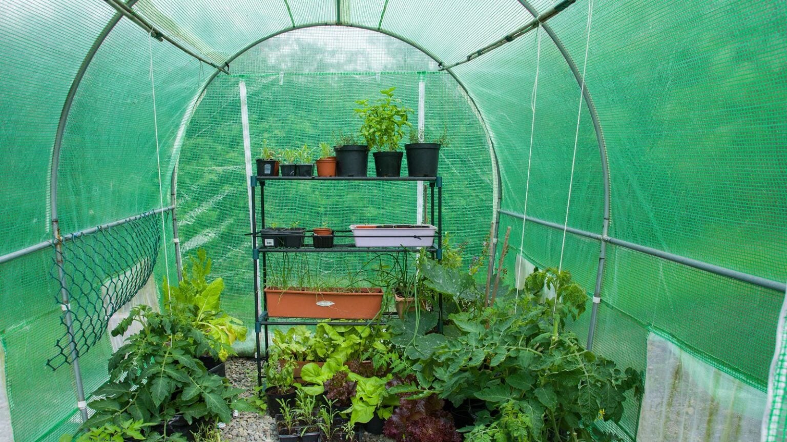 How To Build Your Own Polytunnel