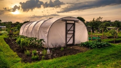 How To Build Your Own Polytunnel