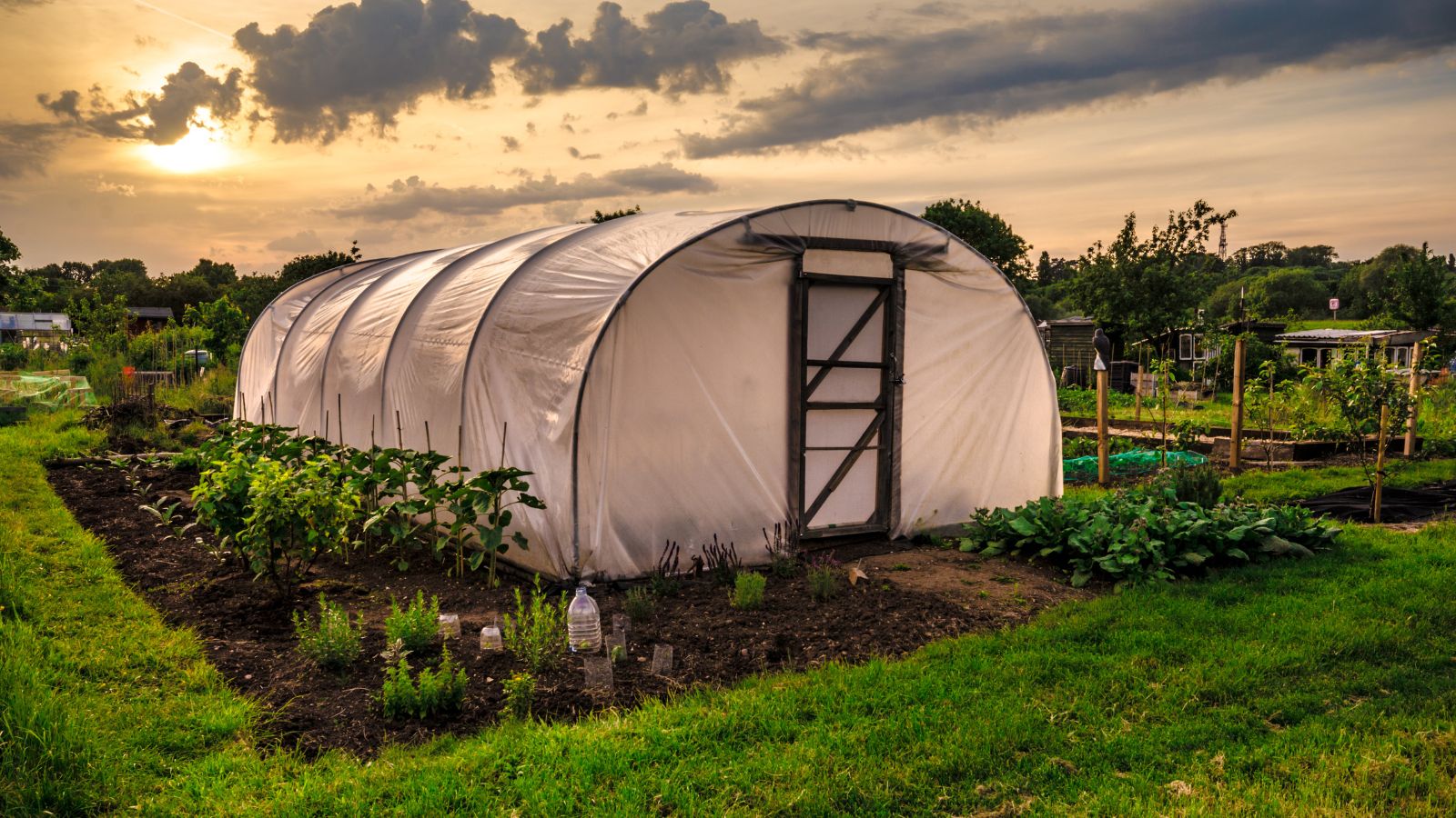 How To Build Your Own Polytunnel - Epic Gardening