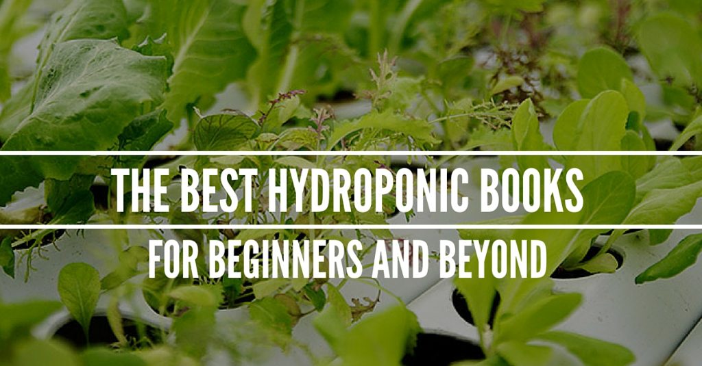The Essential Hydroponics for Beginners Guide | Epic Gardening