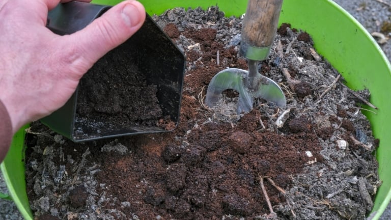How to Compost Coffee Grounds