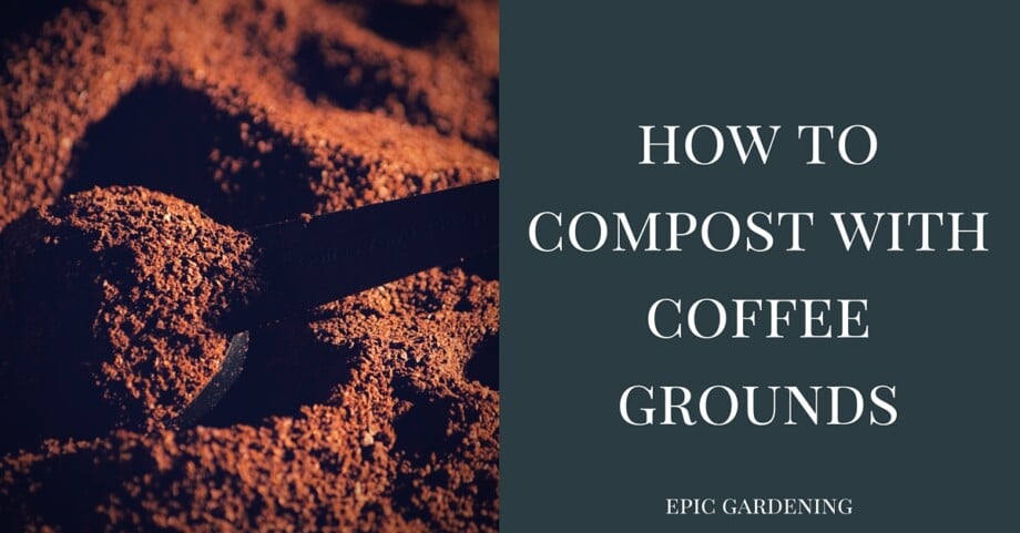 Composting With Coffee Grounds: A Complete Guide