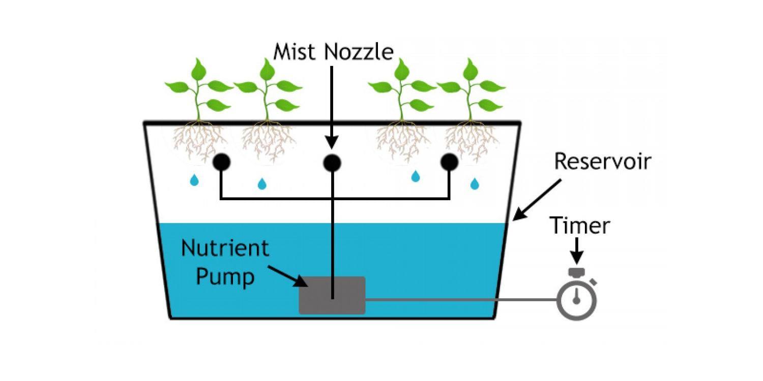 Hydroponic Systems: How They Work and How To Build Your Own