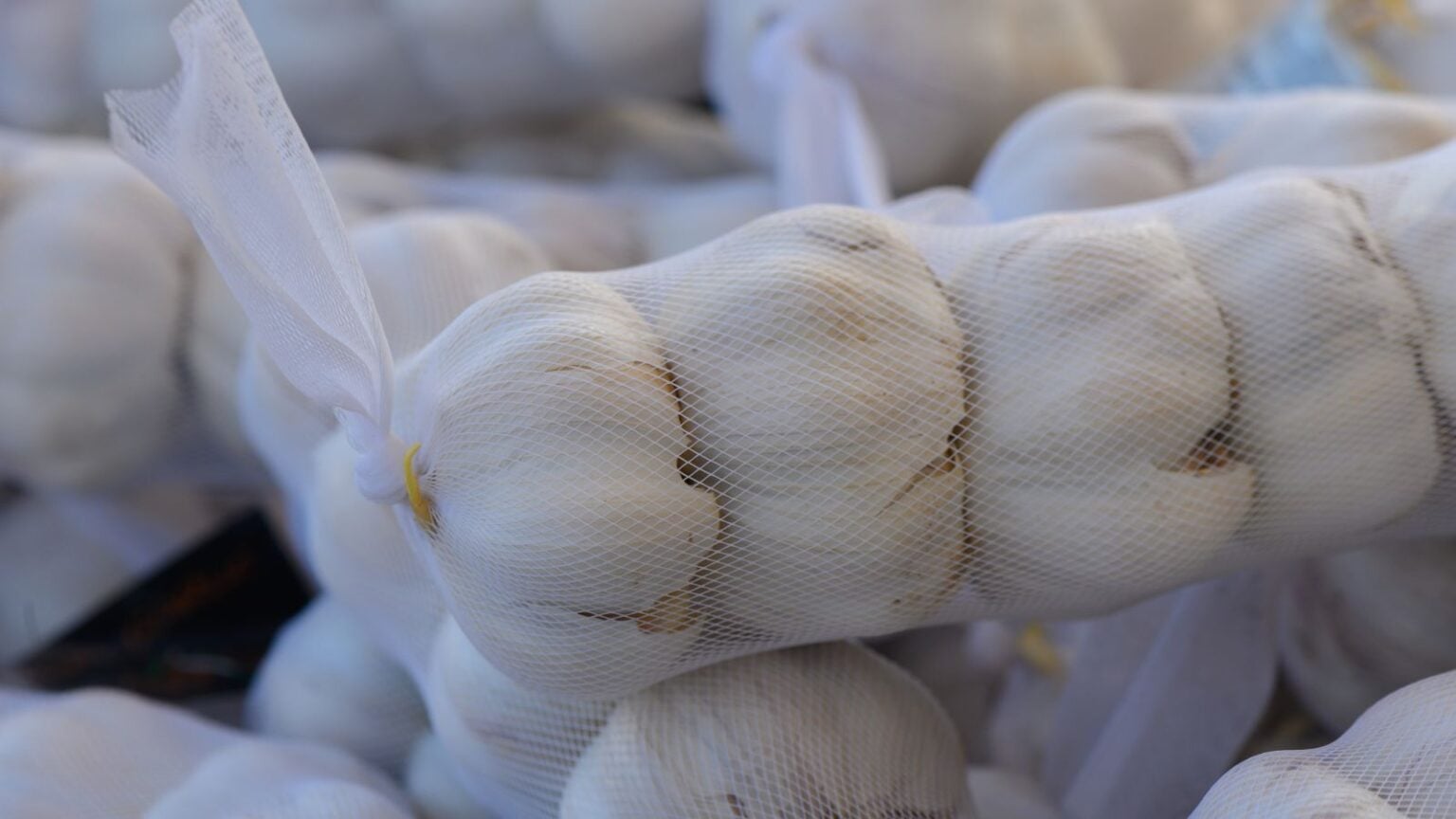 6 Different Methods for Storing Garlic - Epic Gardening