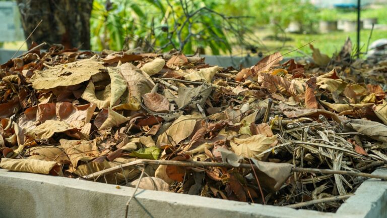 Composting Leaves: How to Break Down Fallen Leaves Fast