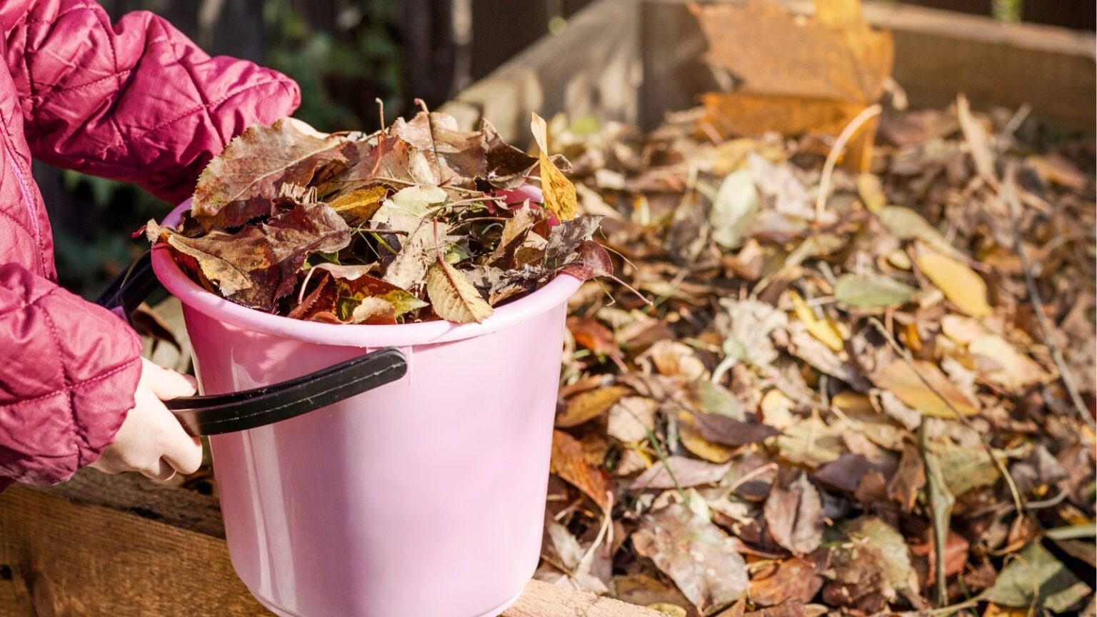 Composting Leaves: How to Break Down Fallen Leaves Fast