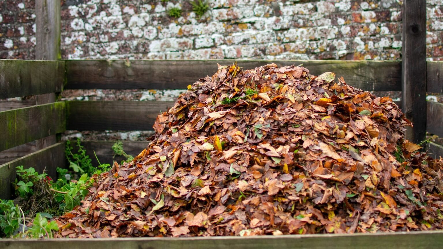 Composting Leaves: How to Break Down Fallen Leaves Fast