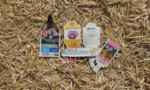 Plant Labels: Creative Ways to Use Them - Epic Gardening
