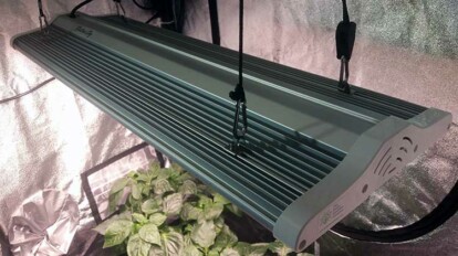 Electric Sky LEDs: The Next Generation of Grow Technology? - Epic Gardening