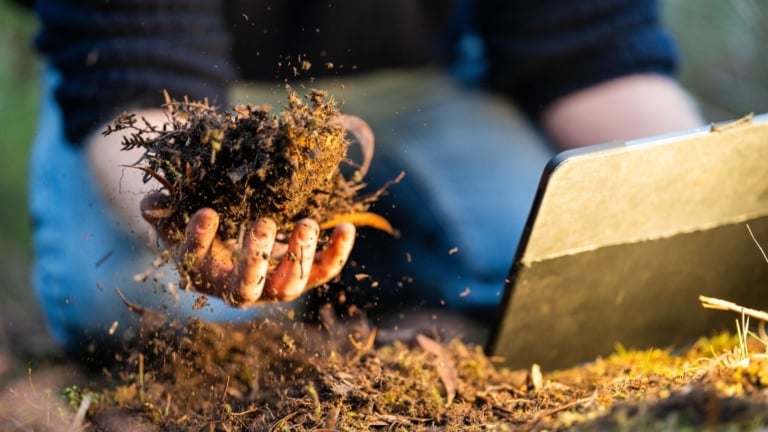 Lomi Compost: Reviewing the Lomi Composter