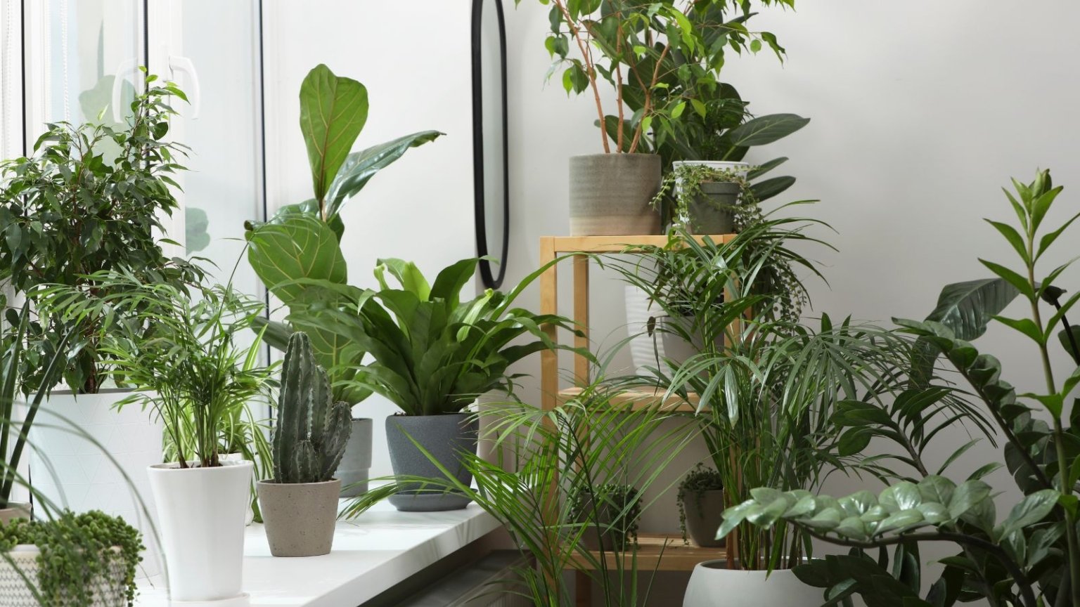 Indoor Gardening For Beginners: Basics You Should Know - Epic Gardening