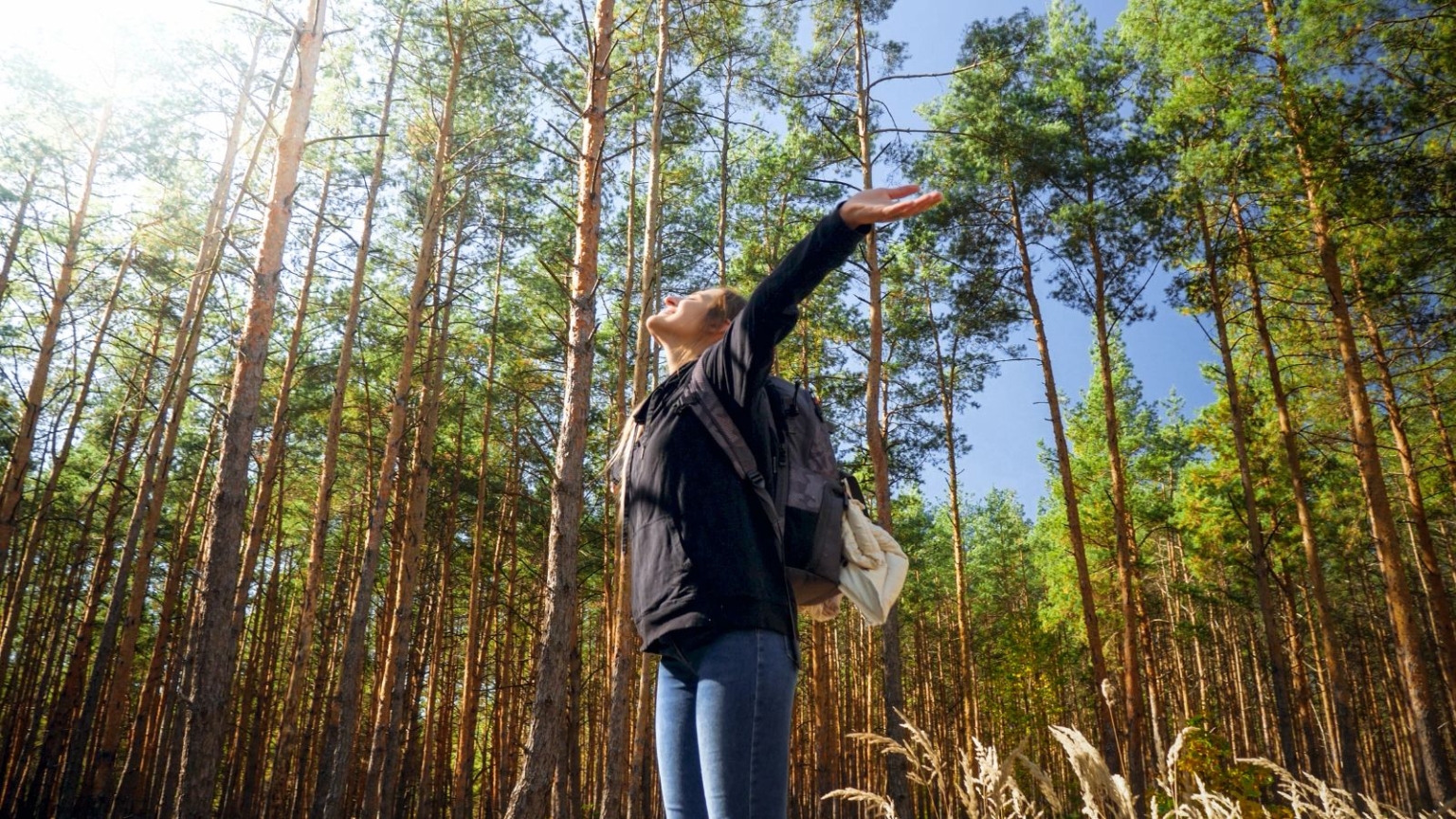 Ecotherapy: How Trees Make You Healthier - Epic Gardening