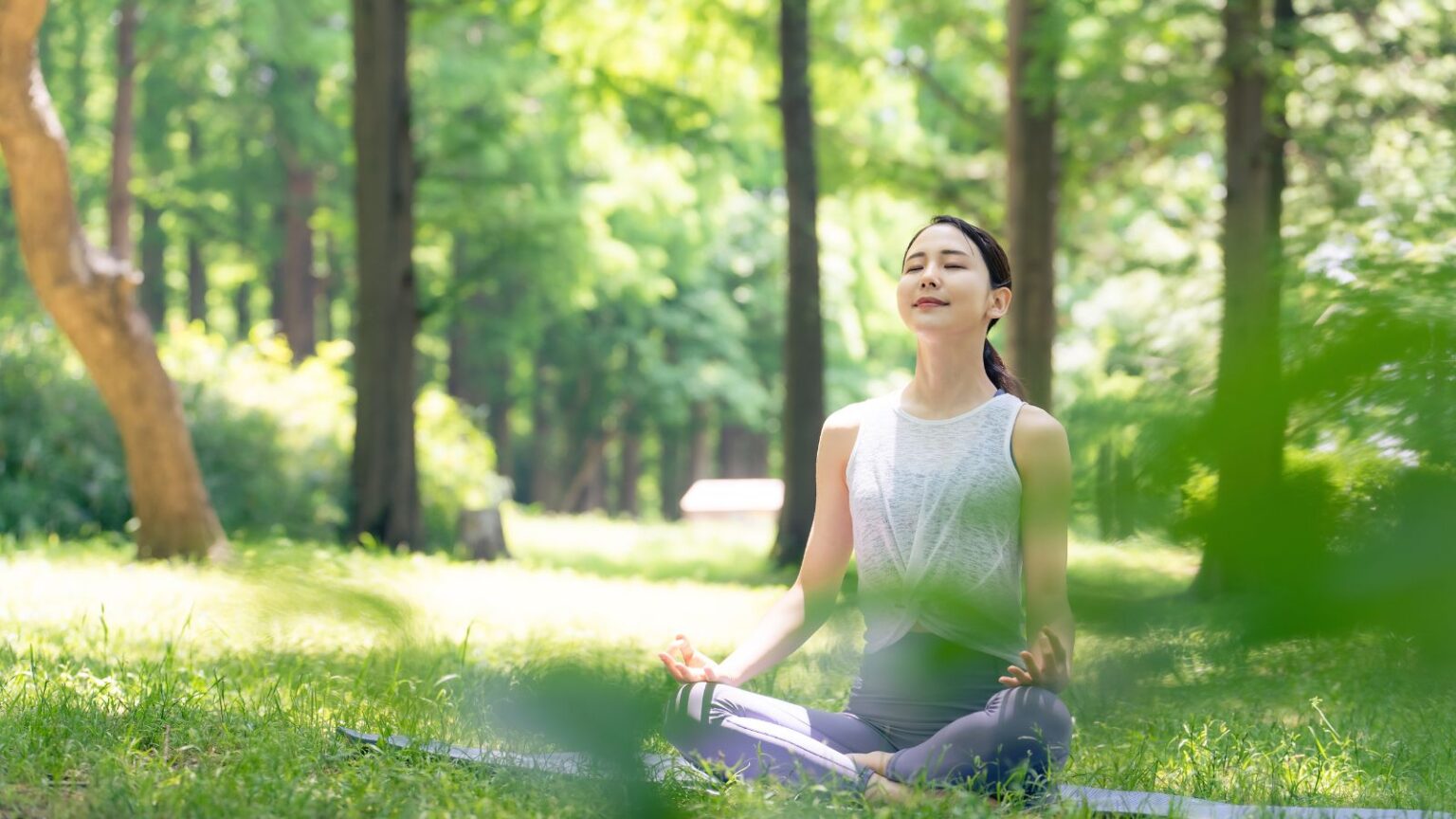 Ecotherapy: How Trees Make You Healthier - Epic Gardening