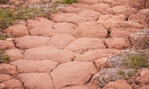 Clay Soil: Tips for Amending & Improving Your Soil - Epic Gardening