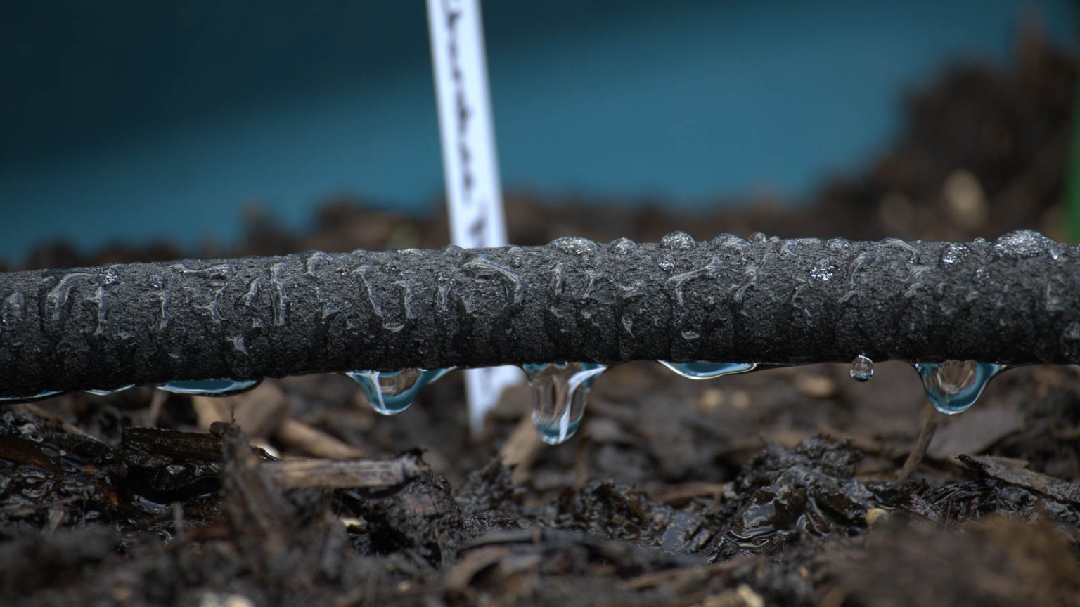 How to Install and Use a Soaker Hose - Epic Gardening How to Install and Use a Soaker Hose - Epic Gardening