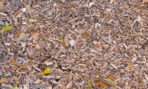 Back To Eden Gardening: Soil Done Nature's Way - Epic Gardening