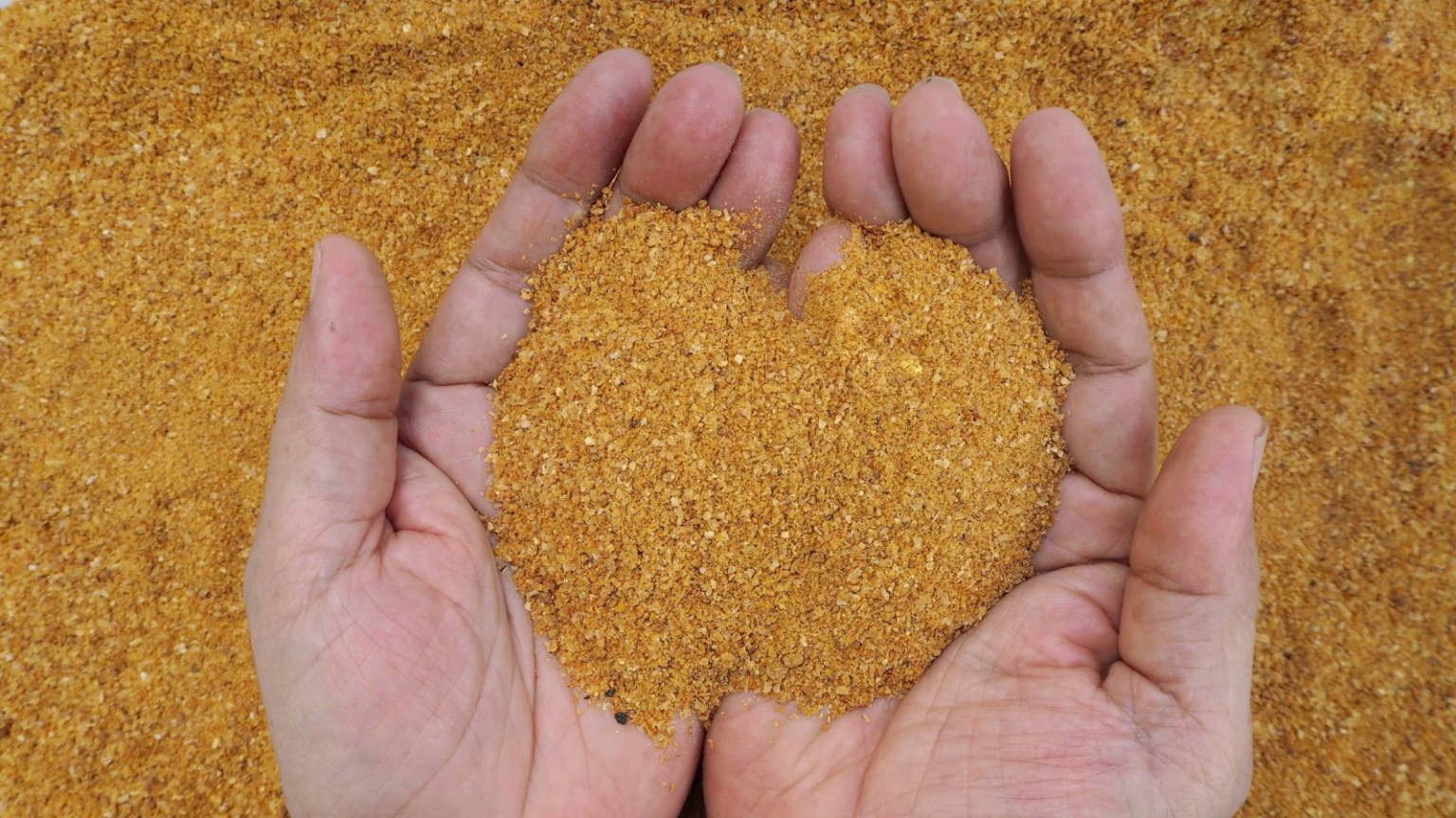 Corn Gluten Meal: Fertilizer And Natural Herbicide- Epic Gardening