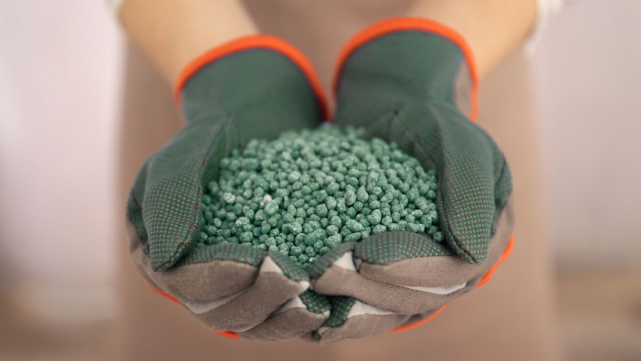 How to Use Greensand in the Garden