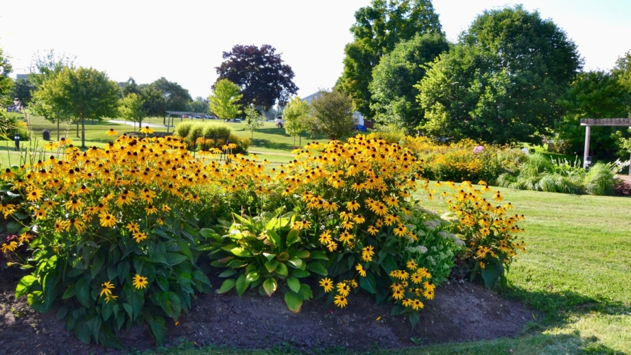 Landscaping Careers: Finding A Pathway Through The Industry - Epic ...