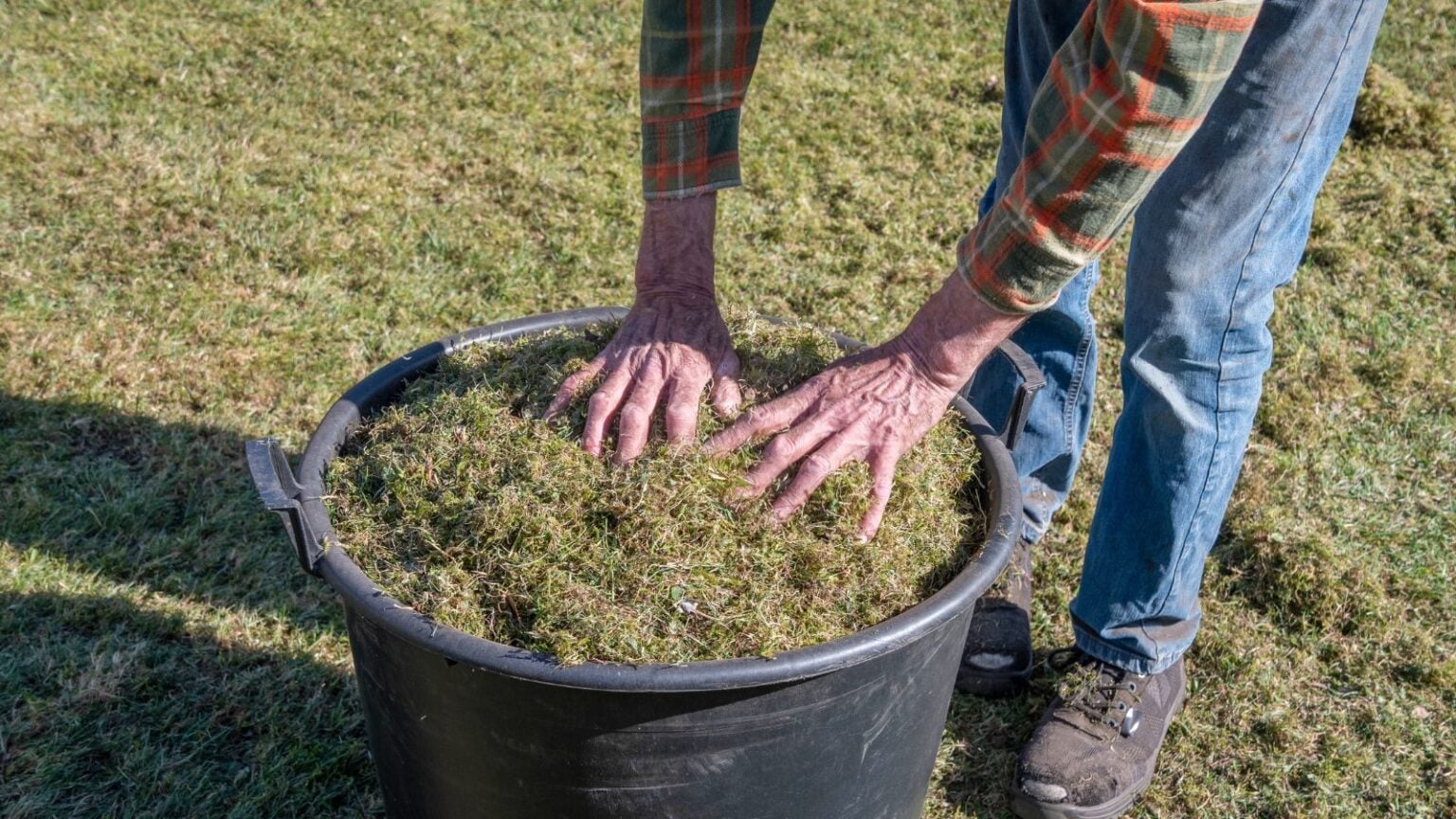 How to Use Grass Clippings In the Garden