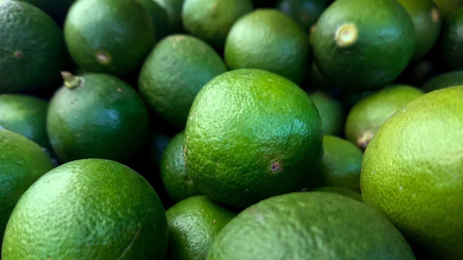 How to Plant, Grow, and Care for Key Lime Trees