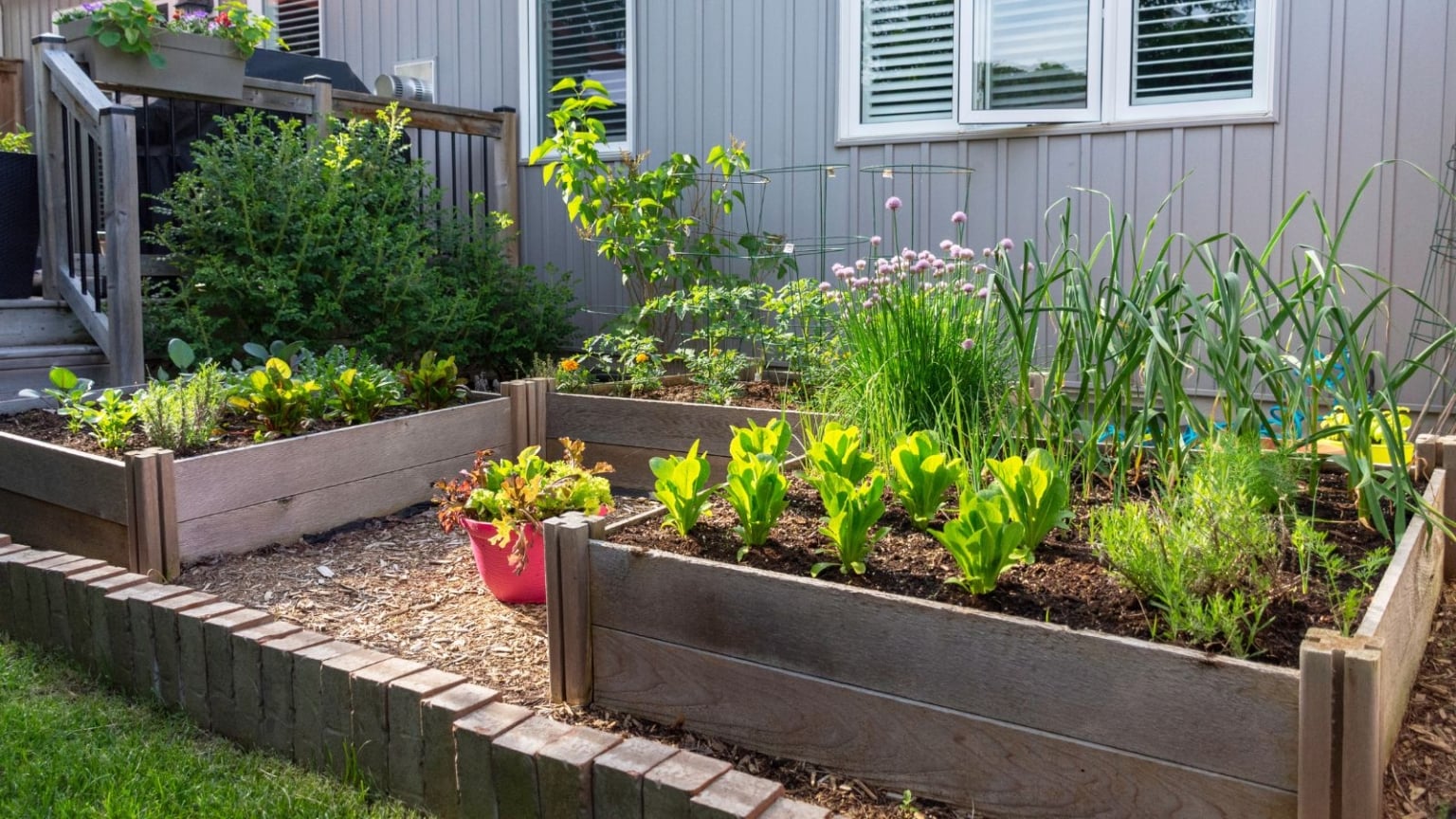 20 Best Crops For A Survival Garden