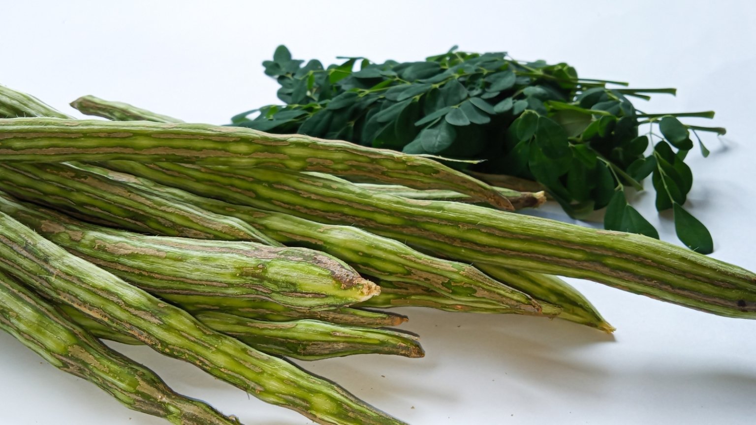 How to Plant, Grow, and Care for Moringa