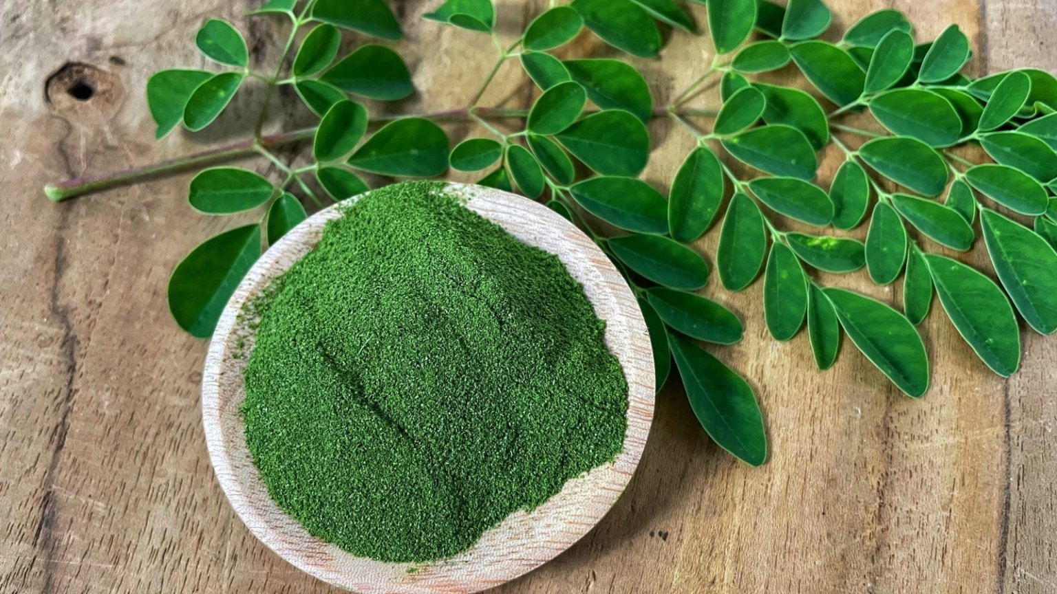 How to Plant, Grow, and Care for Moringa