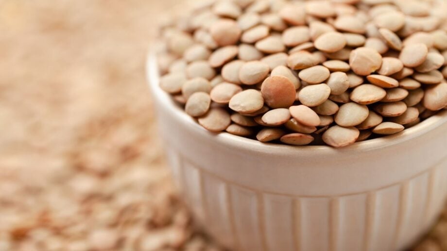 How to Plant, Grow, and Care for Lentils