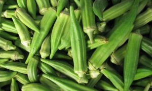 Growing Okra: Cultivate a Southern Staple Food - Epic Gardening