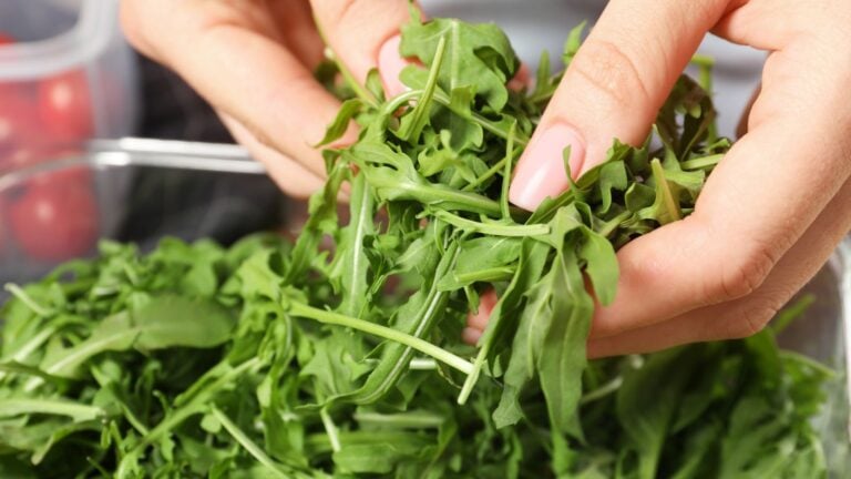 How to Plant, Grow, and Care for Arugula