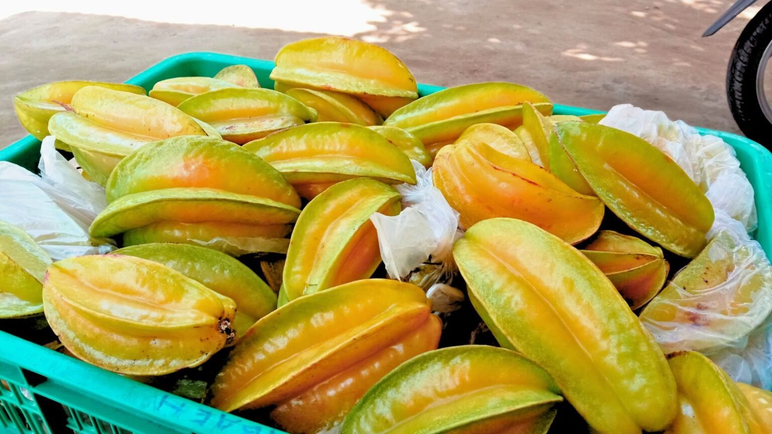 How to Plant, Grow, and Care for Star Fruit Trees
