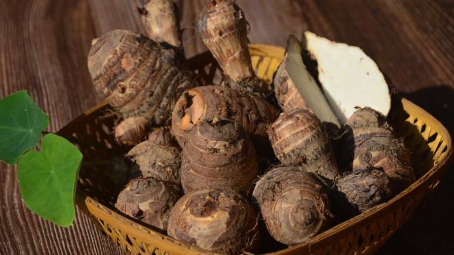 How to Plant, Grow, and Care for Taro
