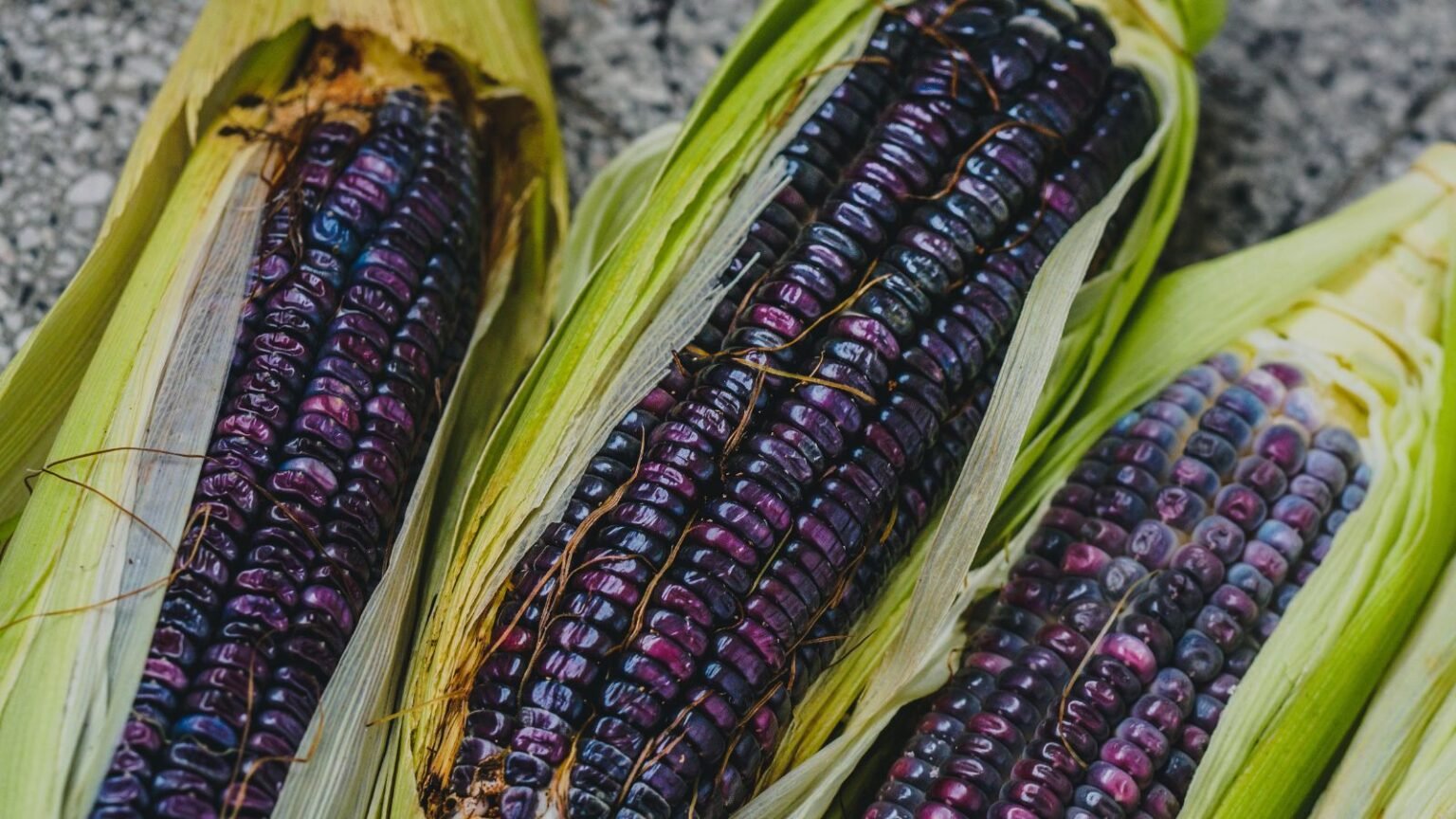 5 Types Of Corn And How to Use Them - Epic Gardening