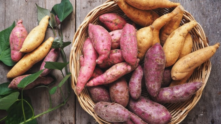 20 Sweet Potato Varieties You'll Love To Grow