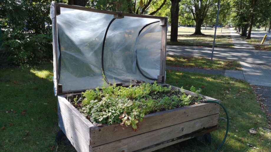 Raised Bed Covers: The Best Ways to Protect Plants
