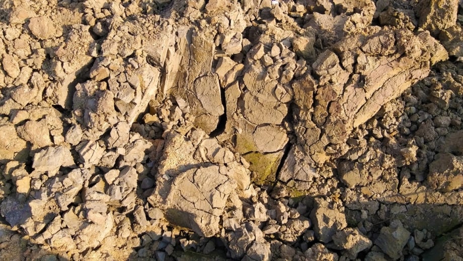 How to Amend and Improve Silty Soil