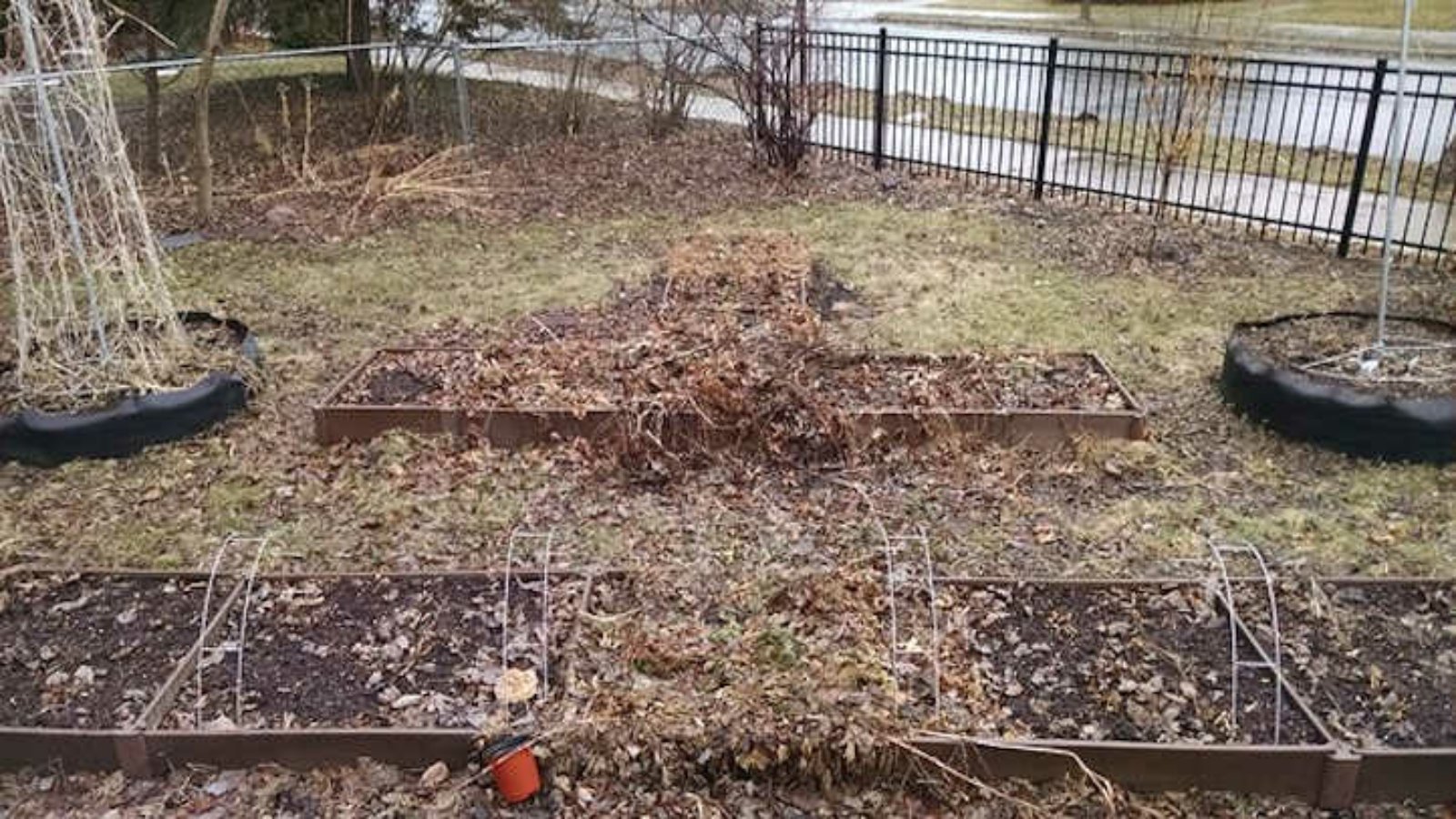 Asparagus Raised Bed: Dedicate A Permanent Plot - Epic Gardening