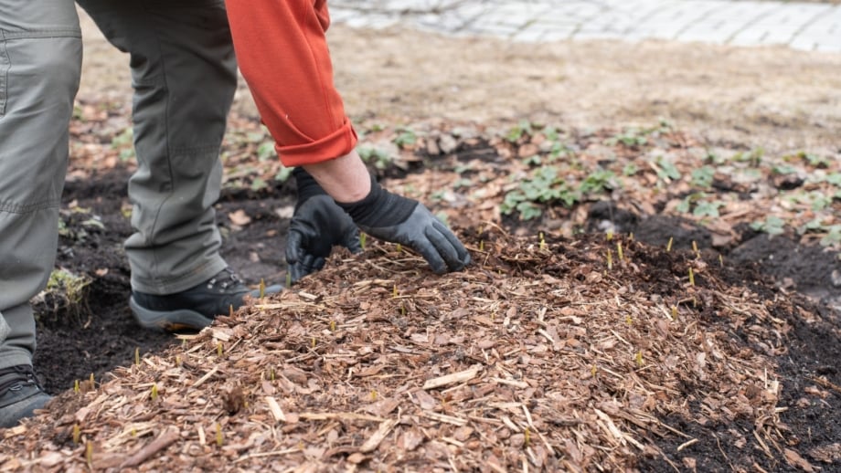 9 Easy Ways to Improve Your Soil