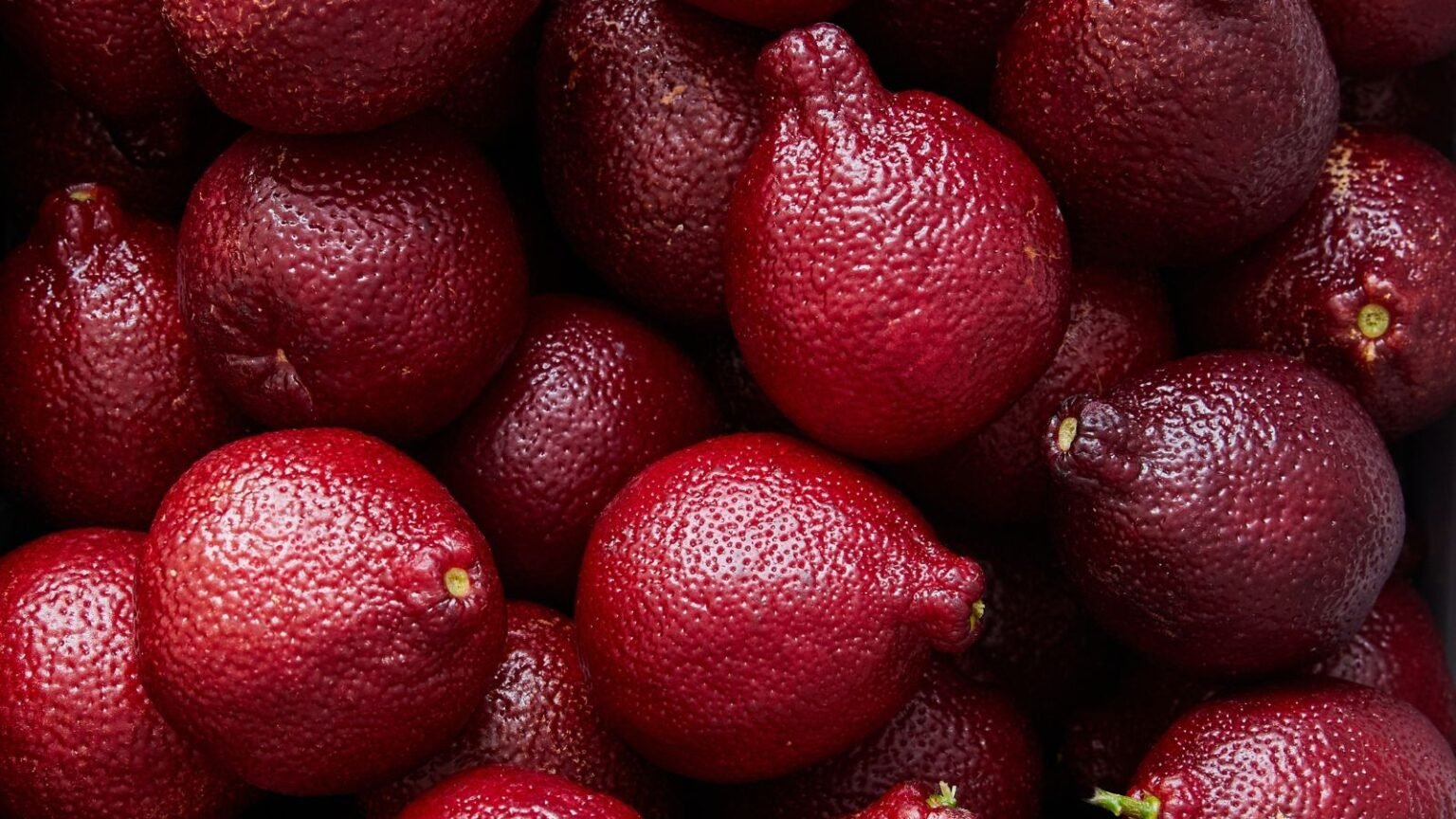 10 Best Lime Tree Varieties for Home Gardens