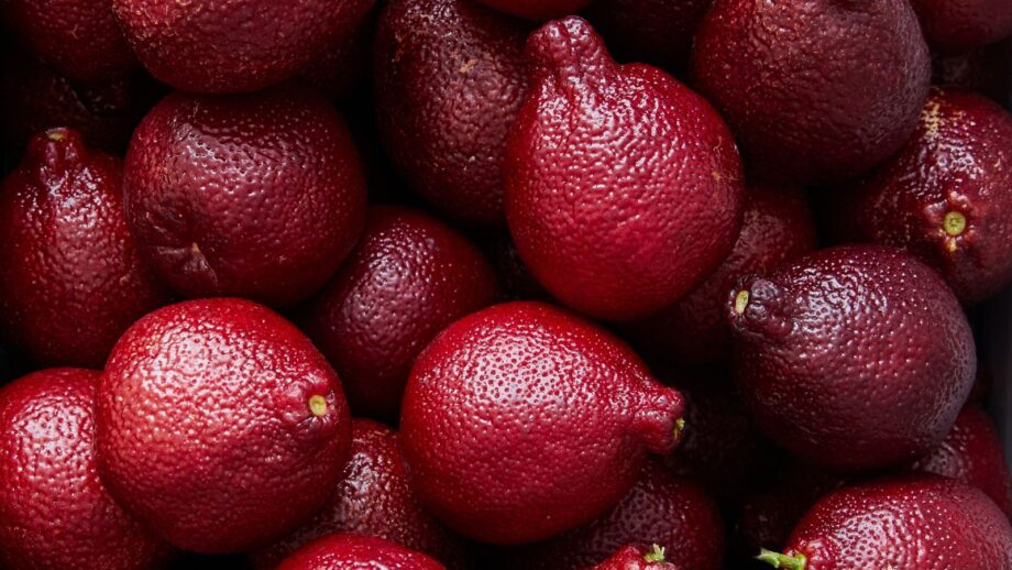 10 Best Lime Tree Varieties for Home Gardens