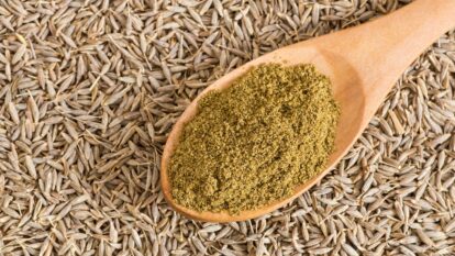 How to Plant, Grow, and Care for Cumin