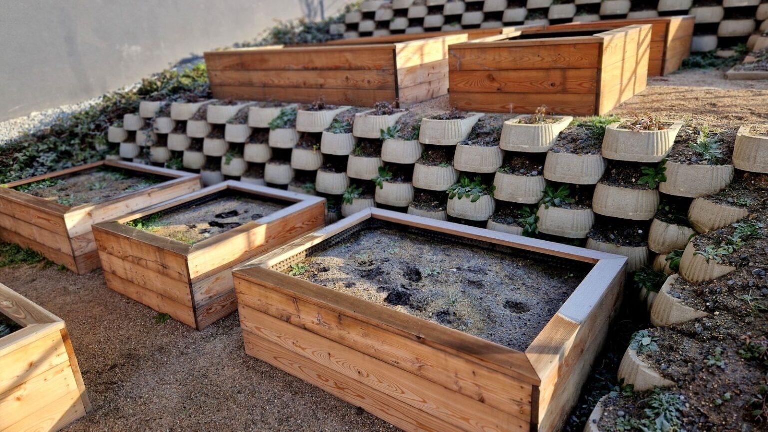 Raspberry Raised Bed Tips: Getting Things Growing - Epic Gardening