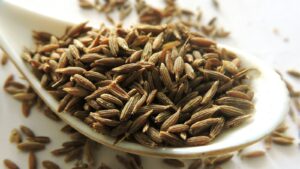 How to Plant, Grow, and Care for Cumin