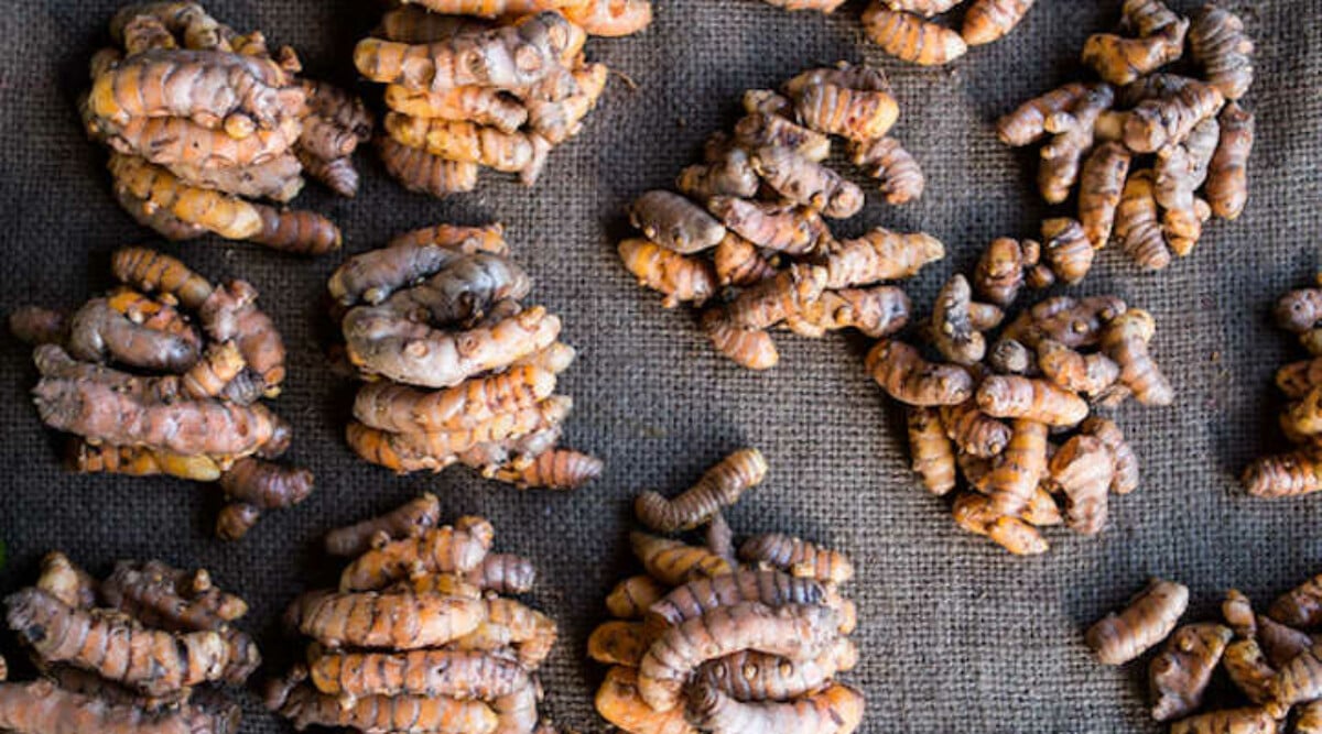 How To Plant, Grow, and Care for Turmeric Root