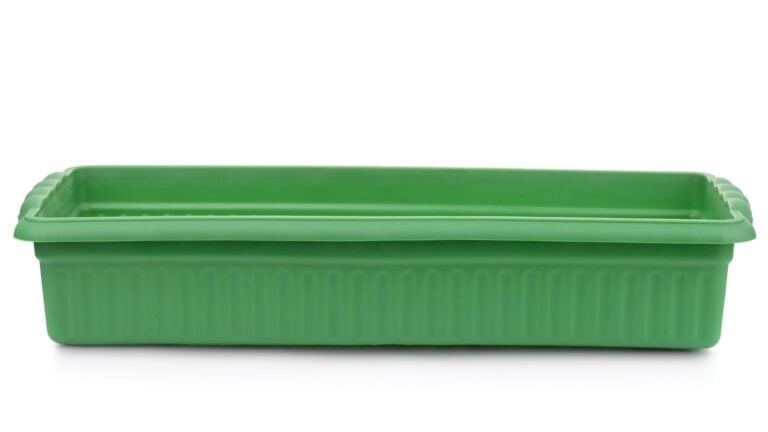 How To Grow Basil Microgreens in 5 Easy Steps